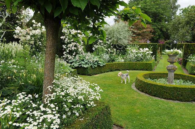 Classical Garden - Perennial Power